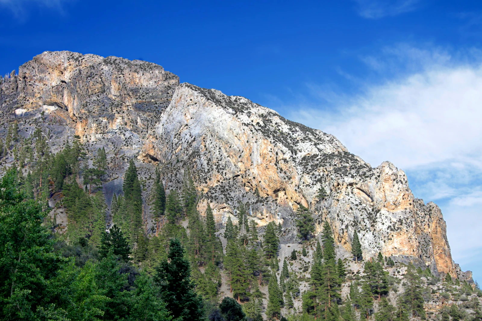 Spring Mountains Scenic Drive Road Trip Road Trip