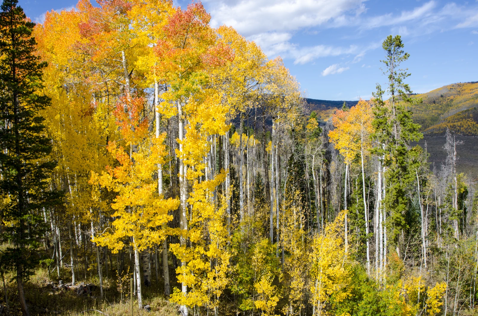 Huntington Canyon Scenic Byway Road Trip Road Trip