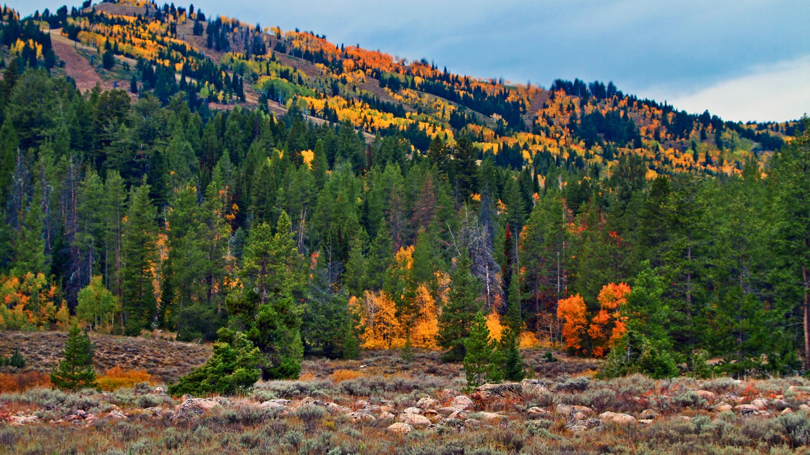 Logan Canyon Scenic Highway Road Trip Road Trip