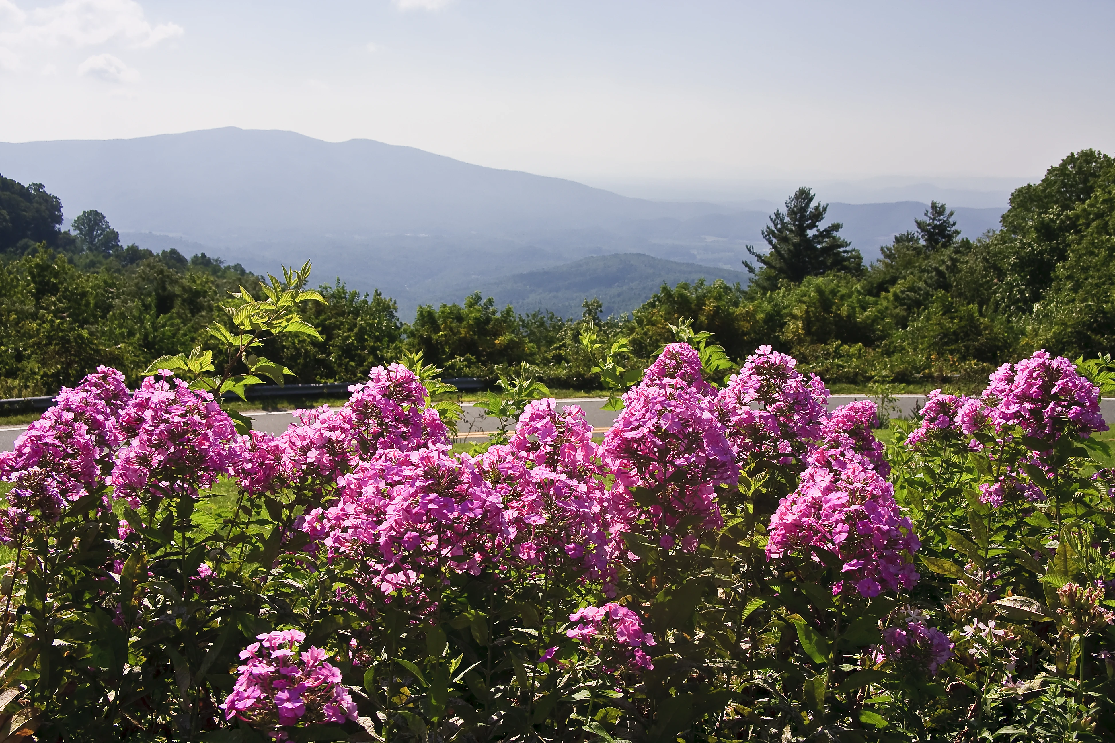 Great Smoky Mountains Scenic Expressway Road Trip Road Trip