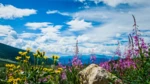 Denver to Boulder Road Trip - Trip Canvas