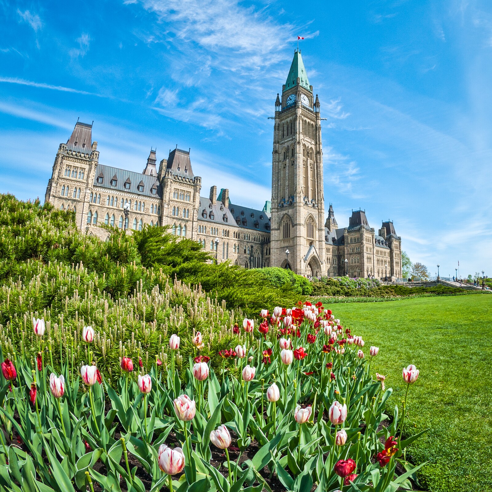 AAA Vacations - Tour Packages